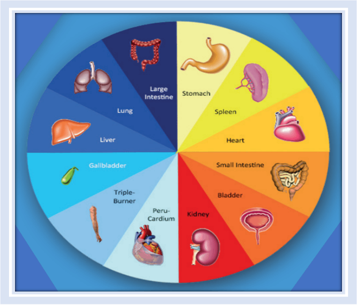 PEMF Buyers Guide | PEMF Machine Guide | iMRS International