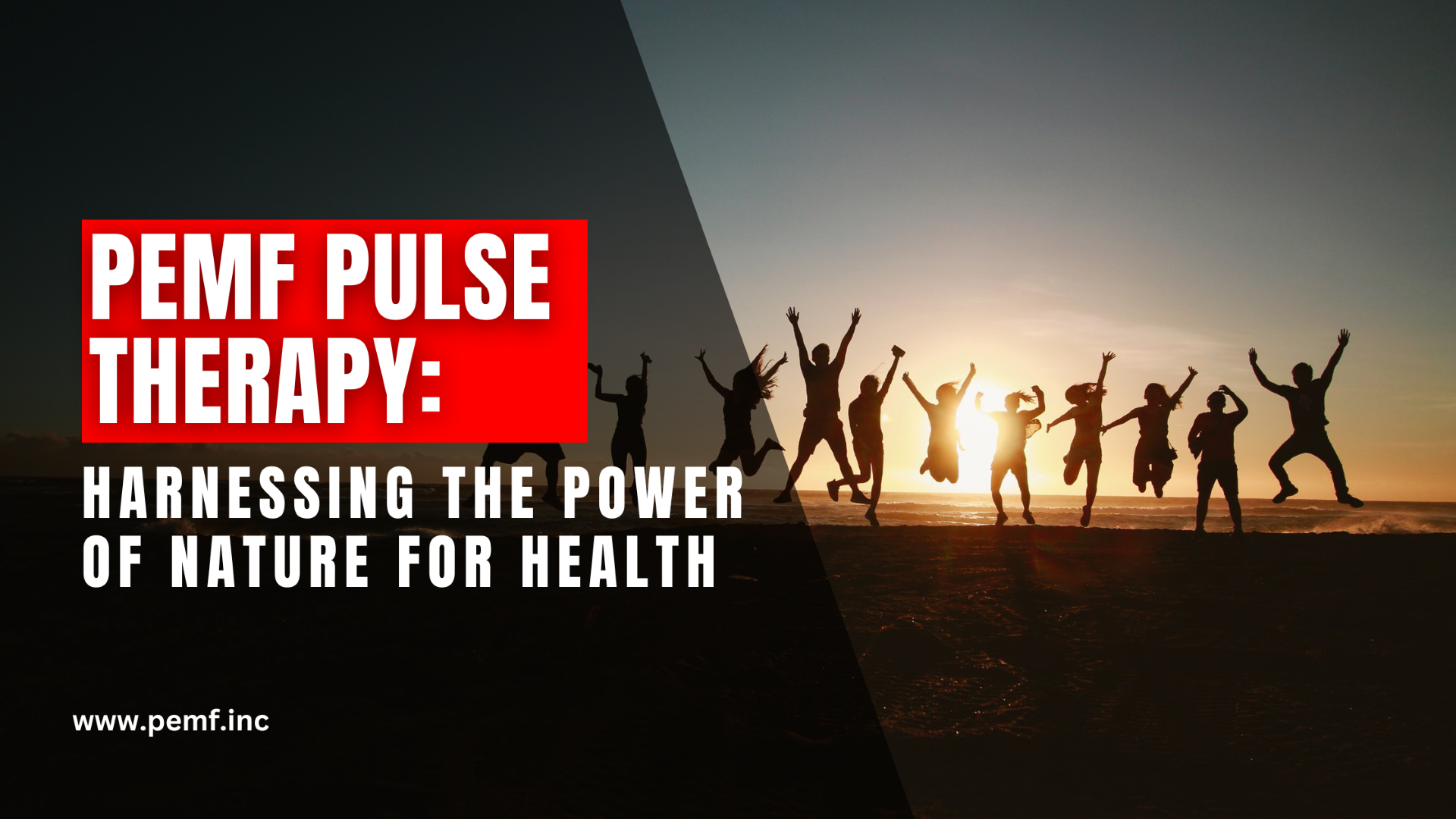 PEMF Pulse Therapy: Harnessing the Power of Nature for Health