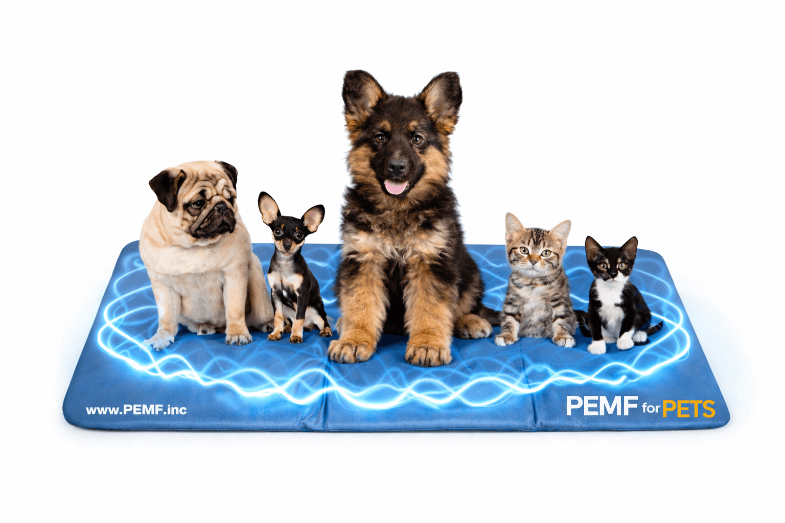 PEMF for Pets | PEMF Inc