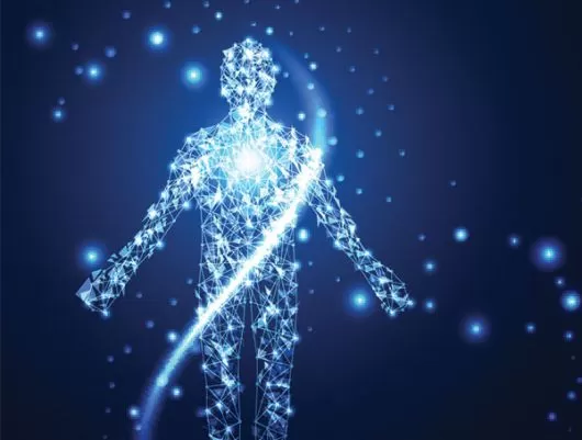 Pulsed Electromagnetic Field Therapy Device | PEMF Inc